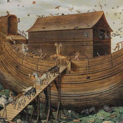 O espectacular achado de um fóssil de dinossauro