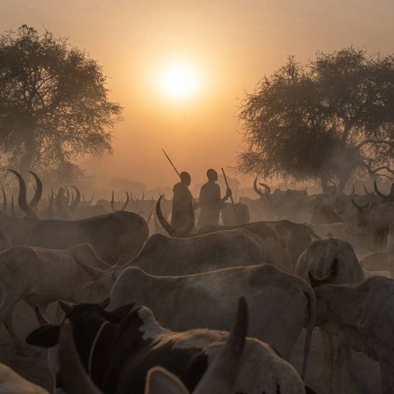 13 impressionantes fotografias premiadas no Wildlife Photographer of ...