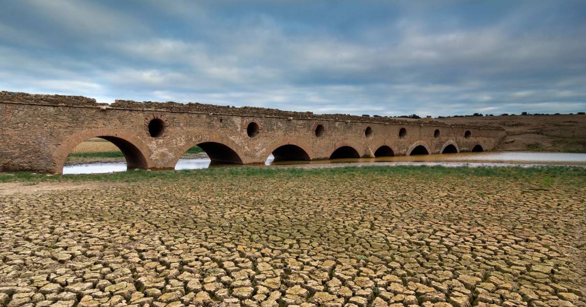 Dia Mundial do Ambiente: Serão as secas frequentes em Portugal? Dia Mundial do Ambiente: Serão as secas frequentes em Portugal?