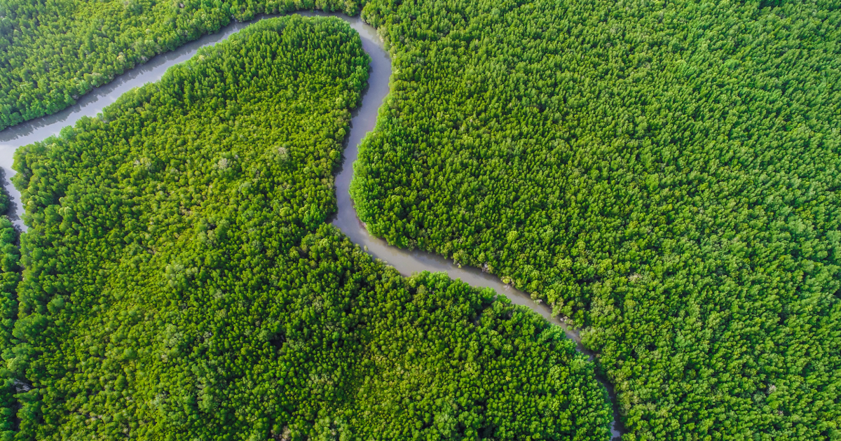 A Terra entrou num défice ecológico: o que significa isto?