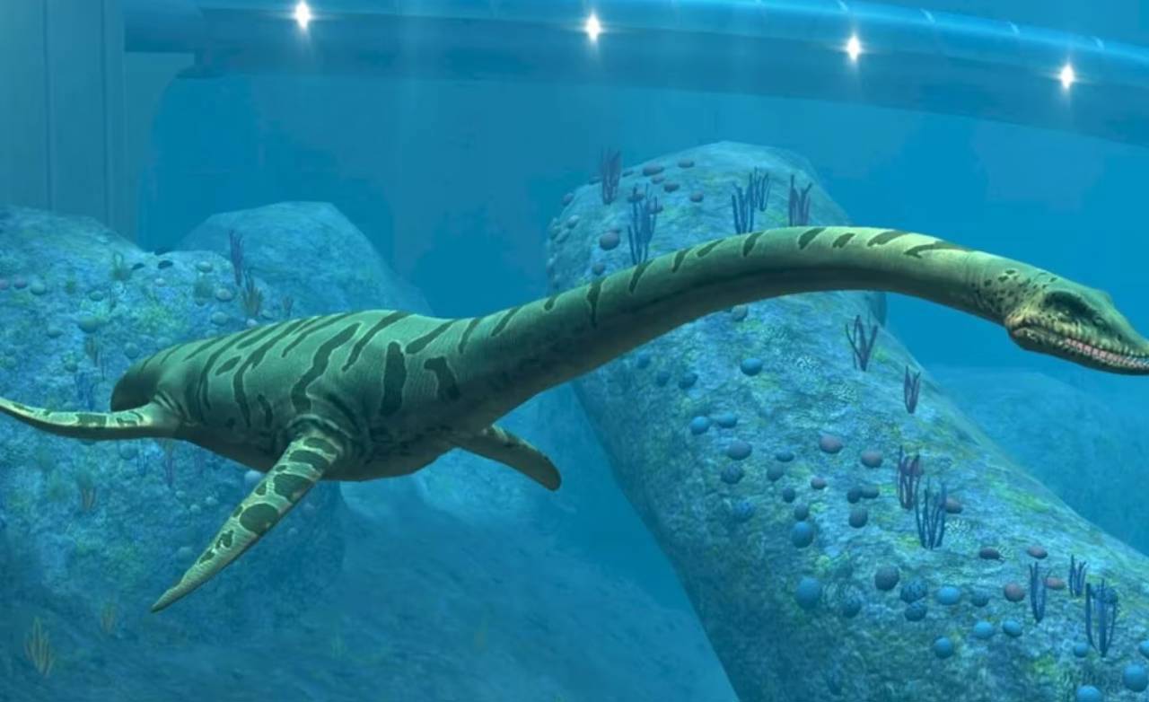 Fósseis: Identificada espécie de plesiossauro com pescoço anormalmente ...