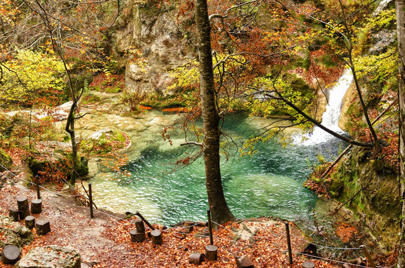 Urbasa-Andía: O bosque mágico de Navarra, em Espanha
