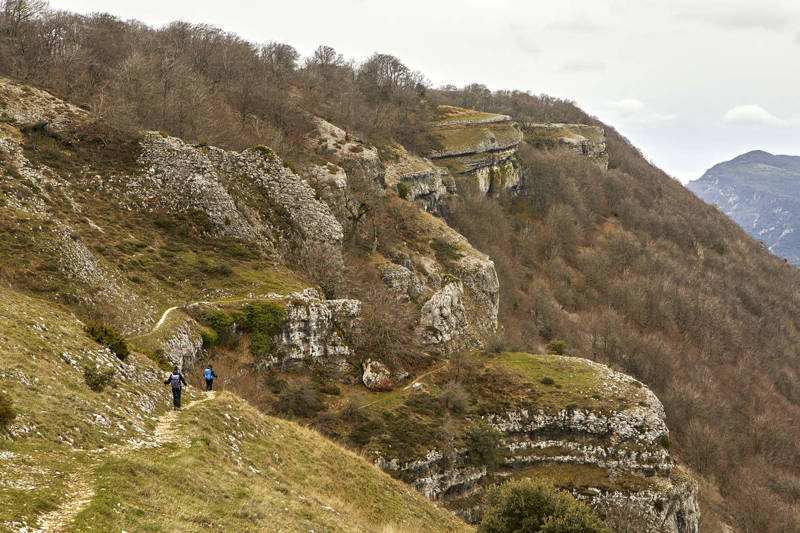 Urbasa-Andía: O bosque mágico de Navarra, em Espanha