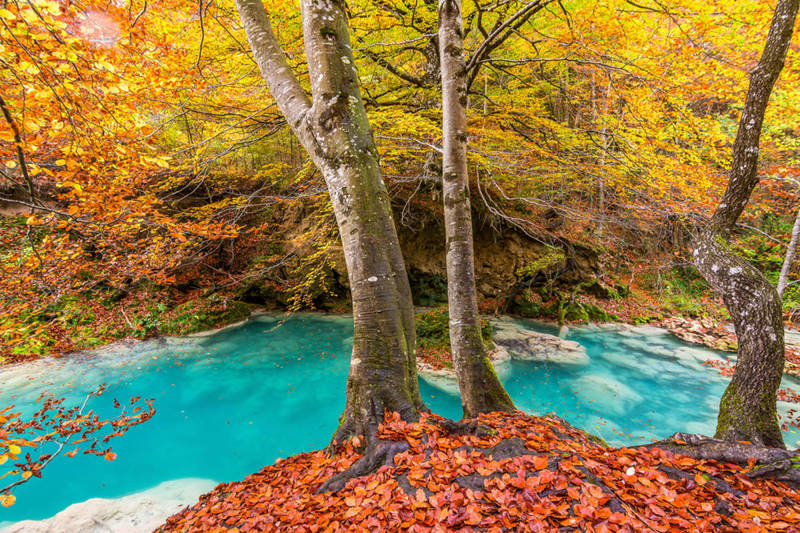 Urbasa-Andía: O bosque mágico de Navarra, em Espanha