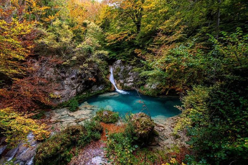 Urbasa-Andía: O bosque mágico de Navarra, em Espanha