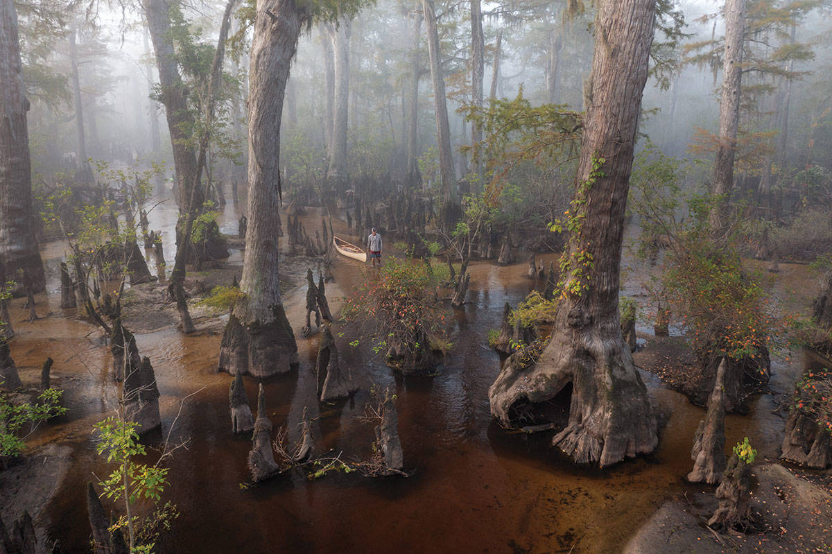 Fotorreportagem: Florestas-fantasma
