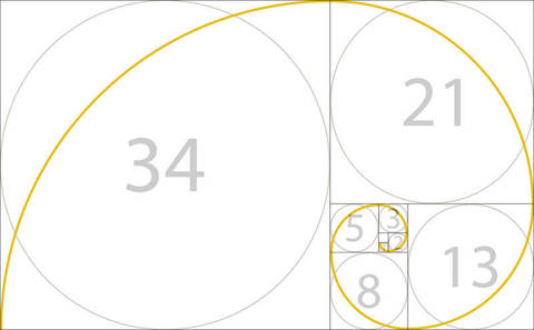 Os segredos da proporção áurea, a marca da matemática na natureza