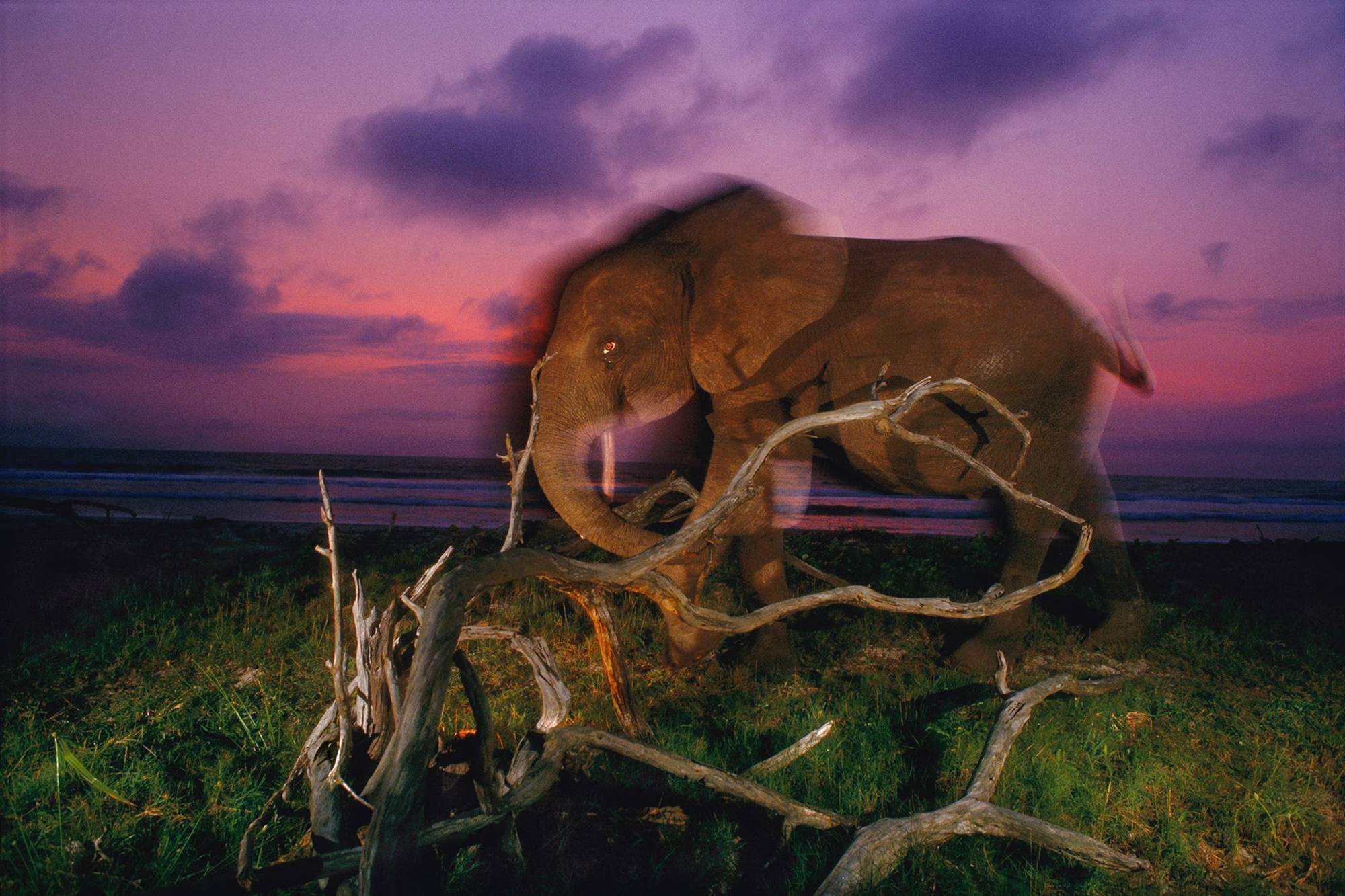 As melhores imagens da National Geographic do século XXI