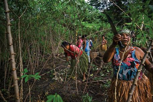 Javari, Amazónia: Uma semana com os kanamari, uma tribo entre dois mundos