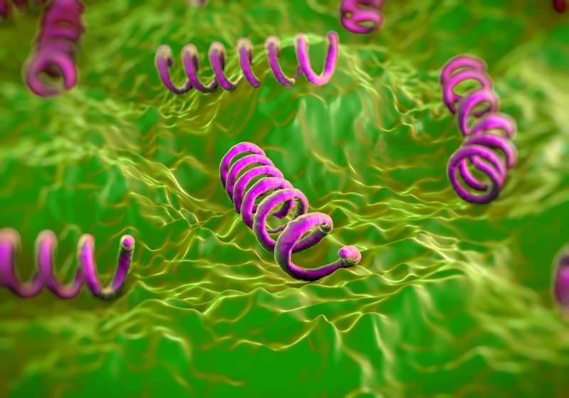 A sífilis chegou à Europa com Colombo? Novo estudo lança dúvidas sobre ...