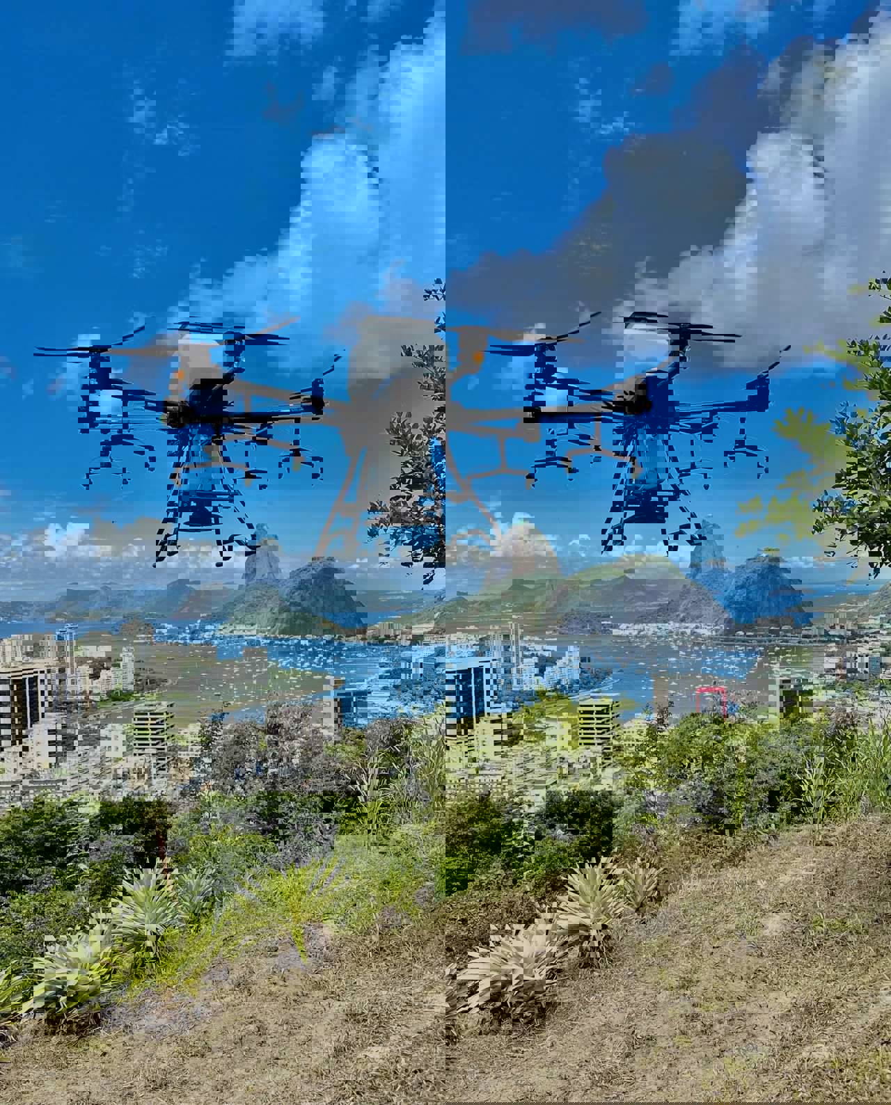 Estes drones estão prontos para ajudar a reflorestar o Rio de Janeiro