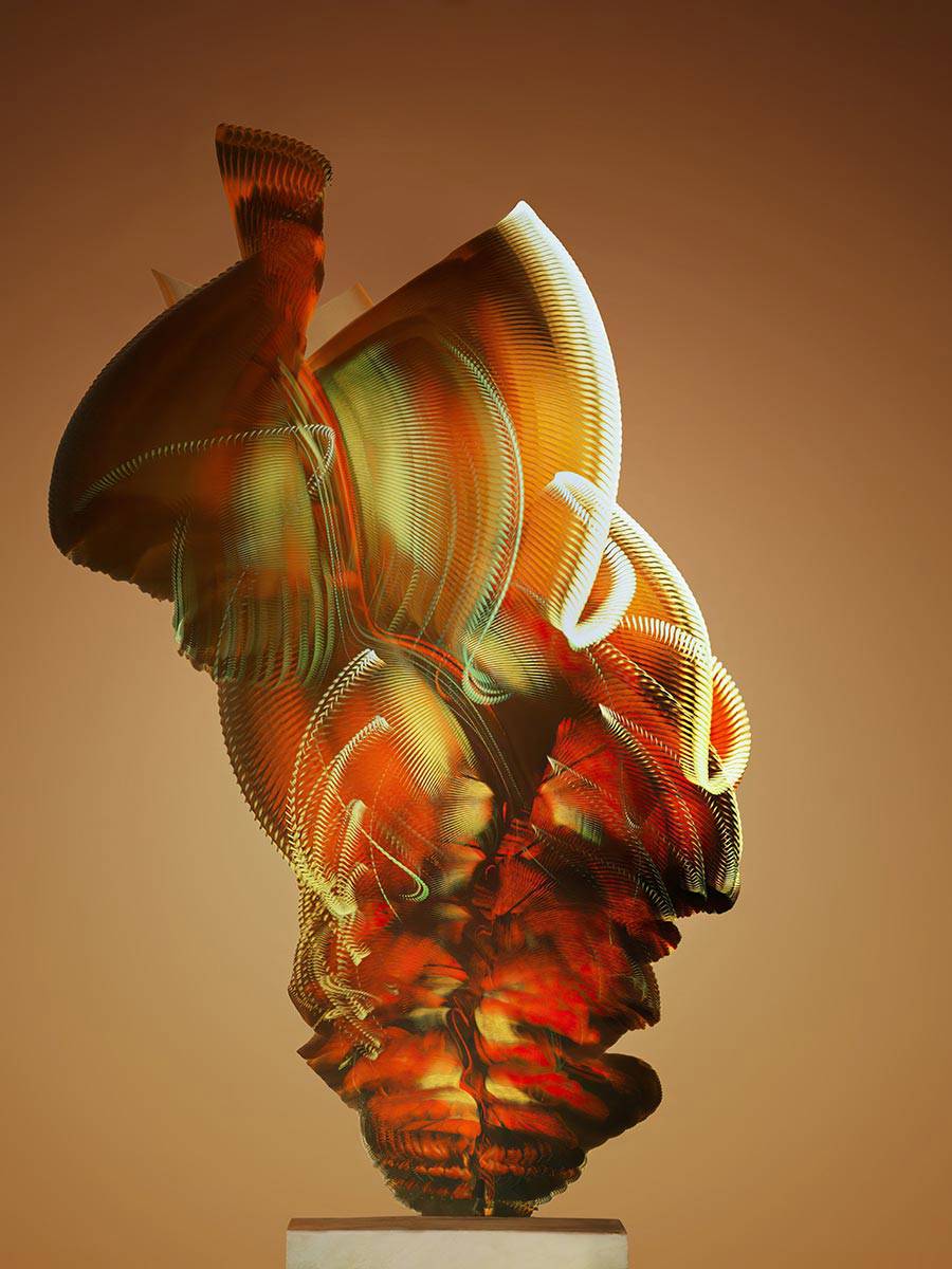 As "Entomografias", de Xavi Bou, transformam os insectos em obras de arte