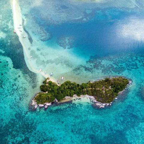 Megalodonte, o monstro marinho mais letal do oceano