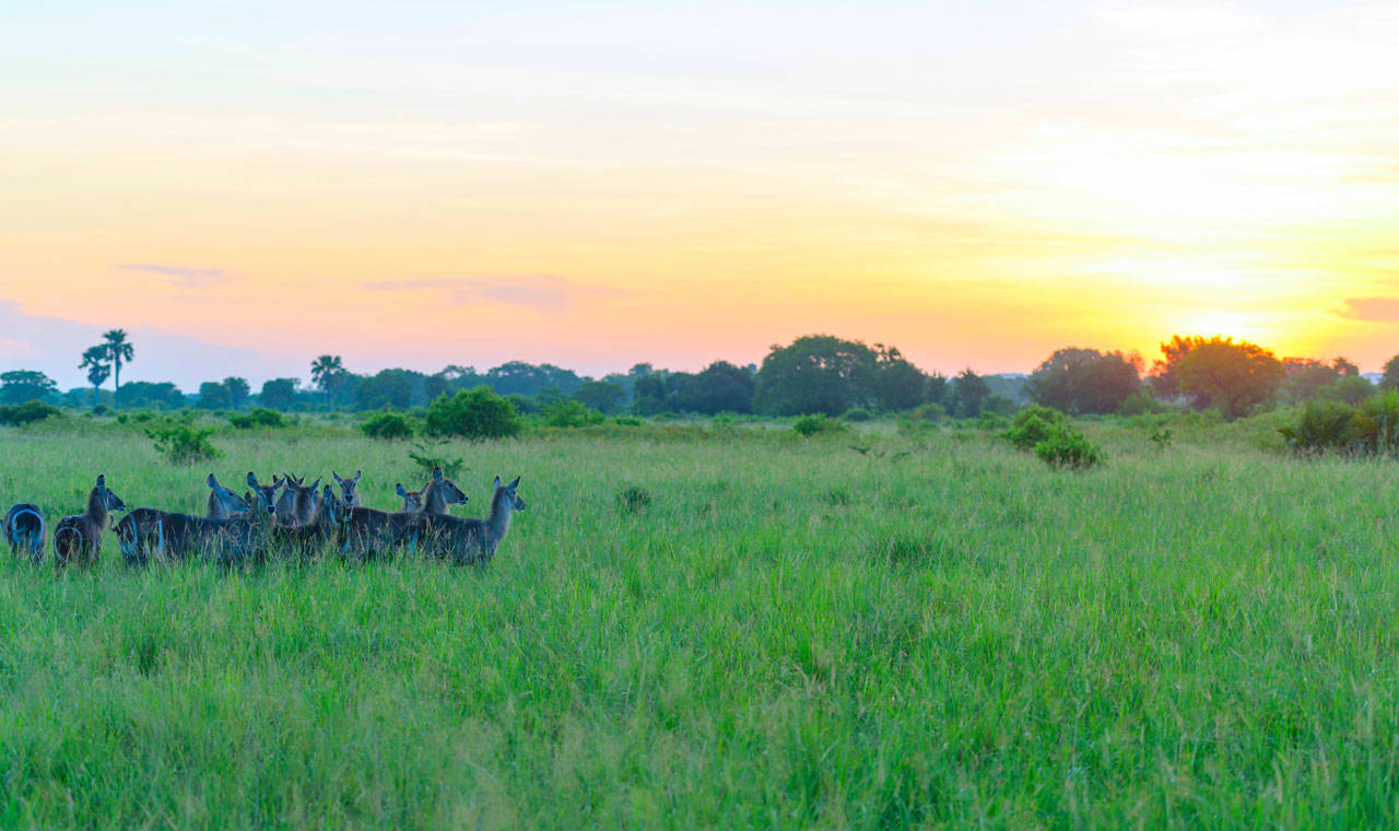 Descubra o seu destino de férias para este Verão