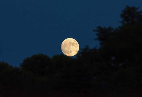 Lua cheia em Julho de 2024: quando e como ver a Lua do Veado