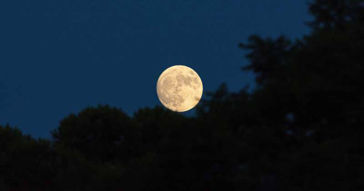 Lua cheia em Julho de 2024: quando e como ver a Lua do Veado