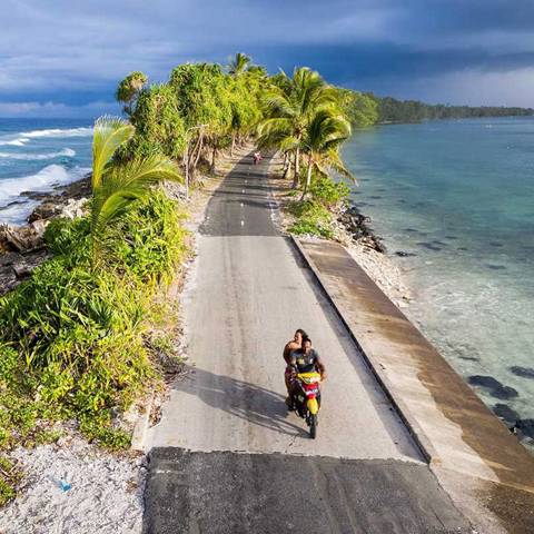 Saca-rabos: a vida errante do rato dos faraós