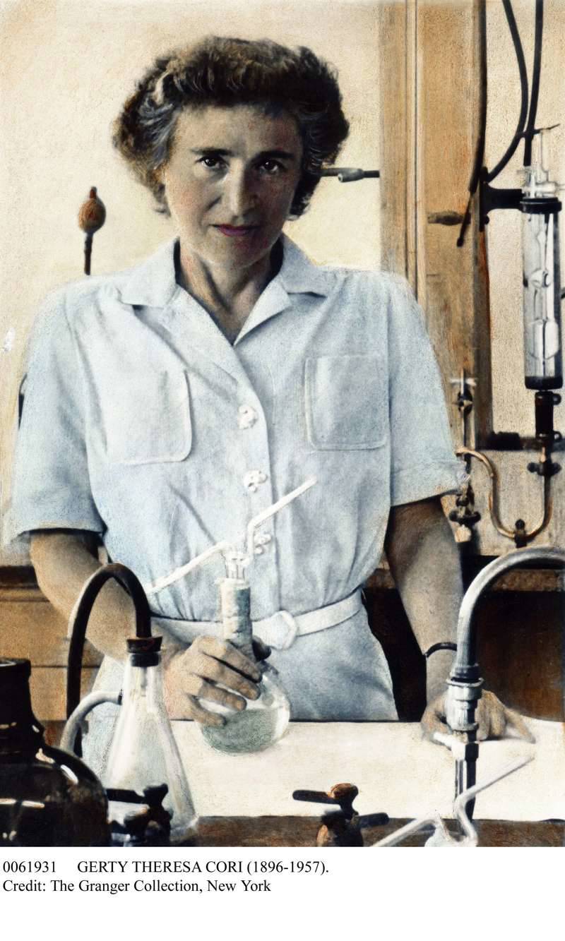 Gerty Cori, a cientista que criou as bases para o estudo da diabetes