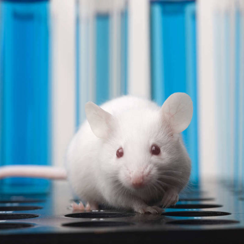 Há milhões de anos, outro planeta colidiu com a Terra. Agora podemos ...