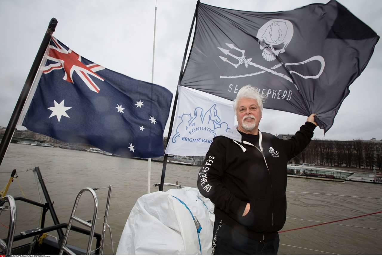 Paul Watson: porque foi detido o activista canadiano?