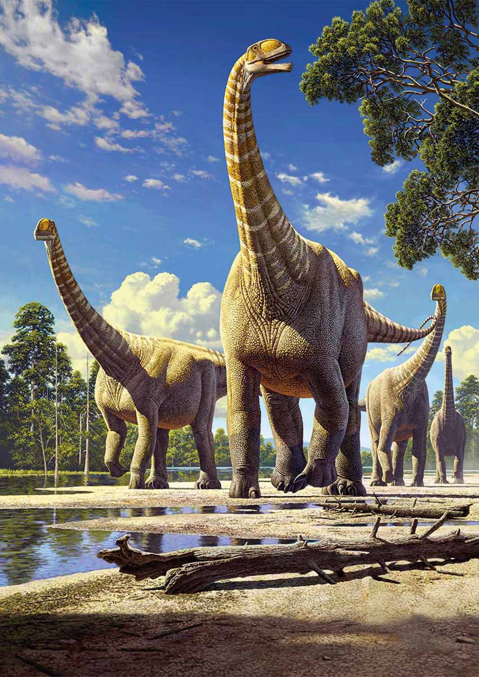 Reportagem: Na peugada do Turiasaurus riodevensis