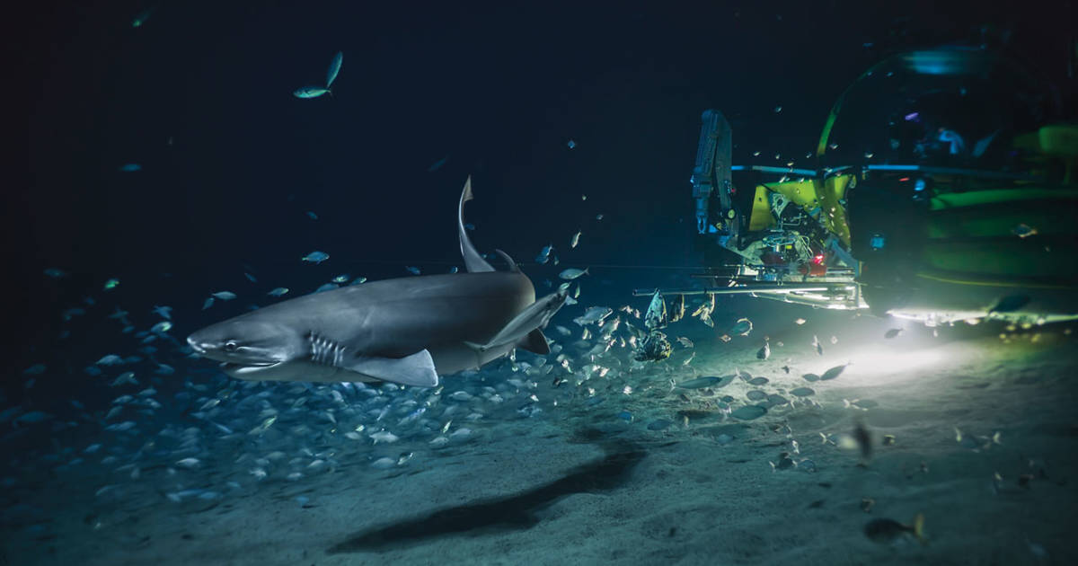 Por um conhecimento mais profundo – ao largo dos Açores