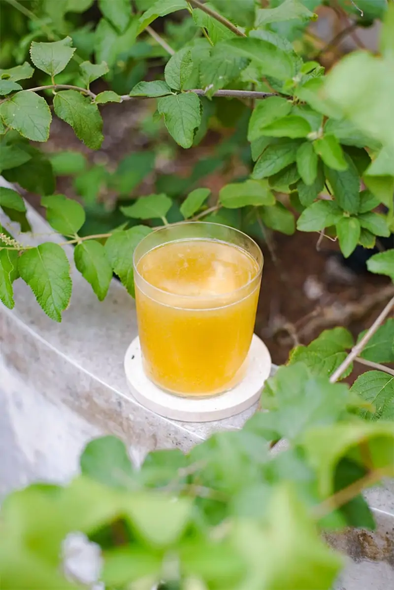 Insectos na cozinha singapuriana: primeiro estranham-se, depois ...