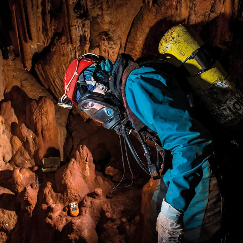 Saca-rabos: a vida errante do rato dos faraós