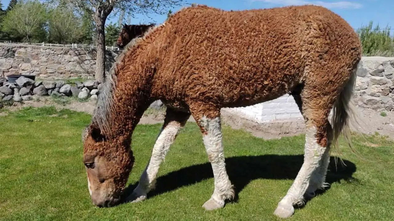 National Geographic Portugal - Site Oficial - Ciência, natureza ...