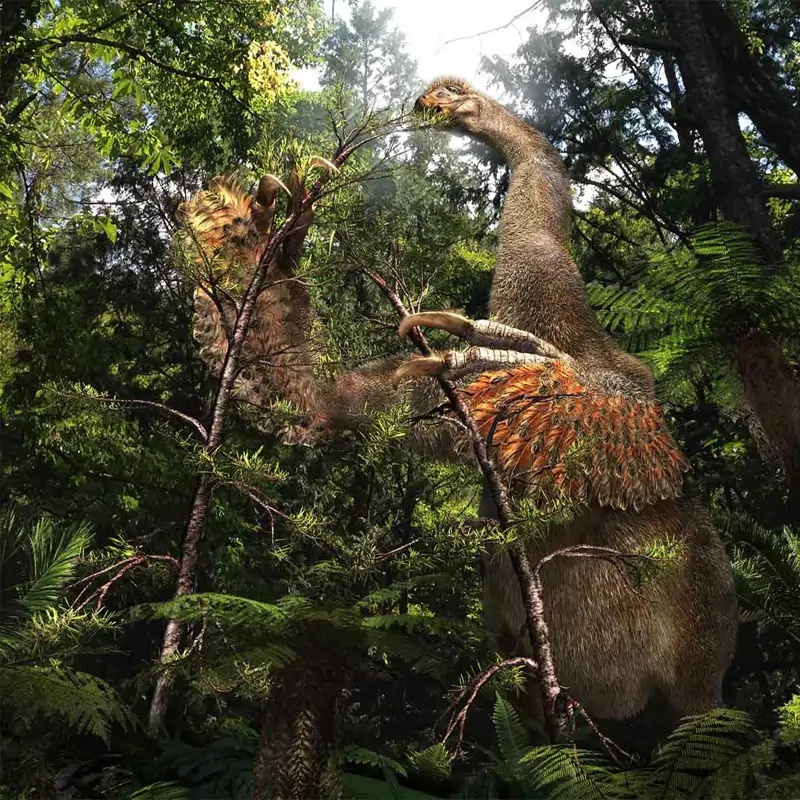 Megalodonte, o monstro marinho mais letal do oceano