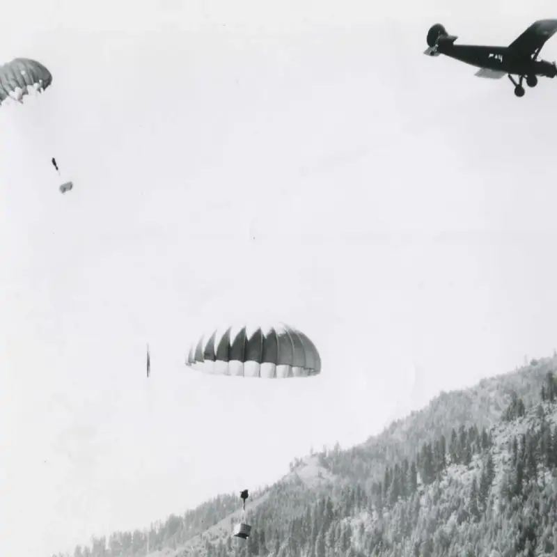 O que torna as tartarugas marinhas tão especiais