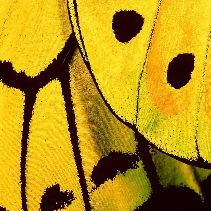 Há milhões de anos, outro planeta colidiu com a Terra. Agora podemos ...