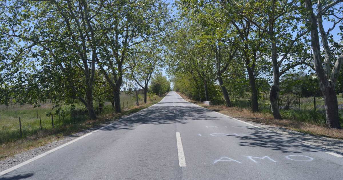 Pela estrada fora, Portugal adentro: 5 estradas nacionais imperdíveis