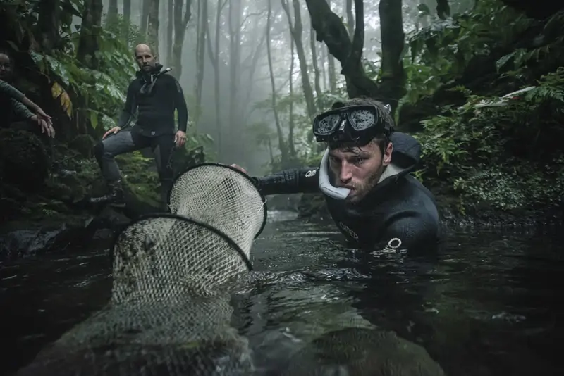 Série “Da nossa estante”: A enigmática e esquiva enguia