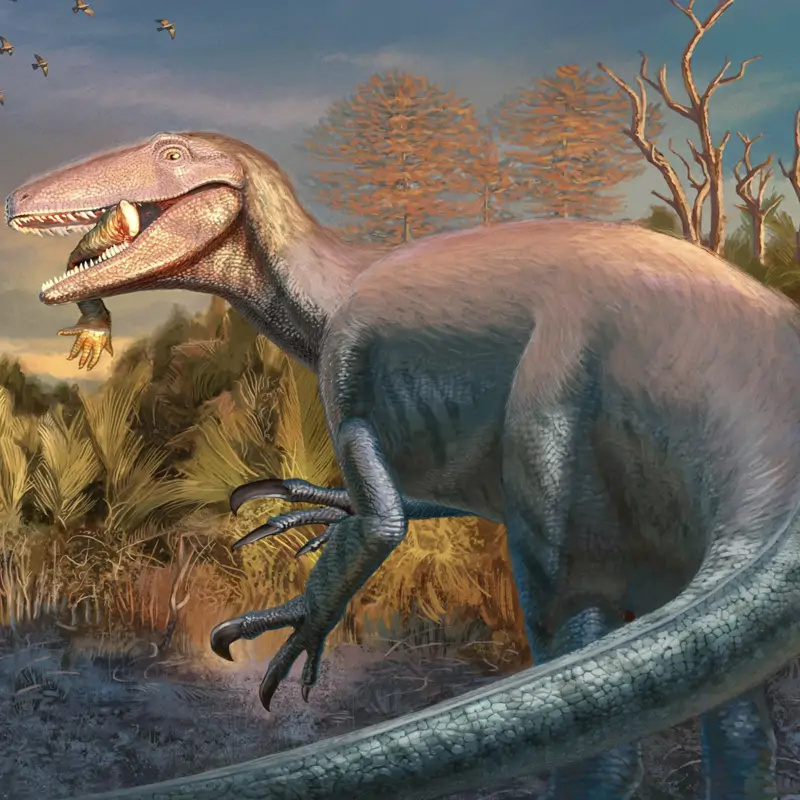 Vostok I: o primeiro voo espacial tripulado que levou Yuri Gagarin para fora da Terra