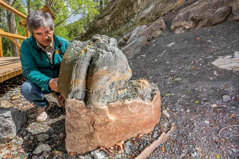 Iguanodon, uma aventura científica com 200 anos de história