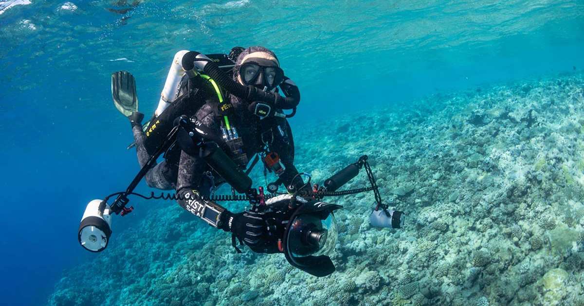 Enric Sala está a ajudar a curar o oceano – uma reserva marinha de cada vez