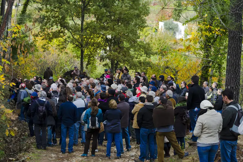 Nesta semana, Alcaide celebra a arte de (des)mistificar os cogumelos