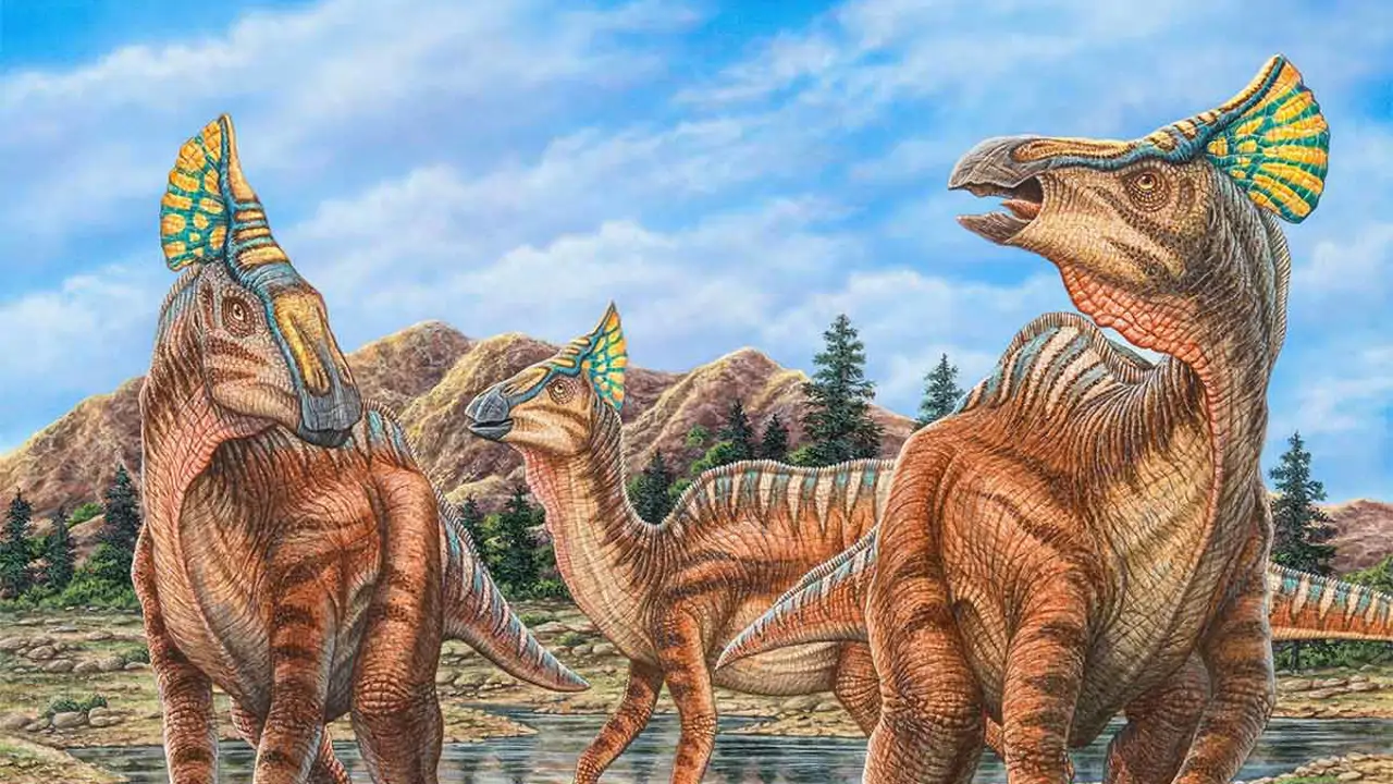 Megalodonte, o monstro marinho mais letal do oceano