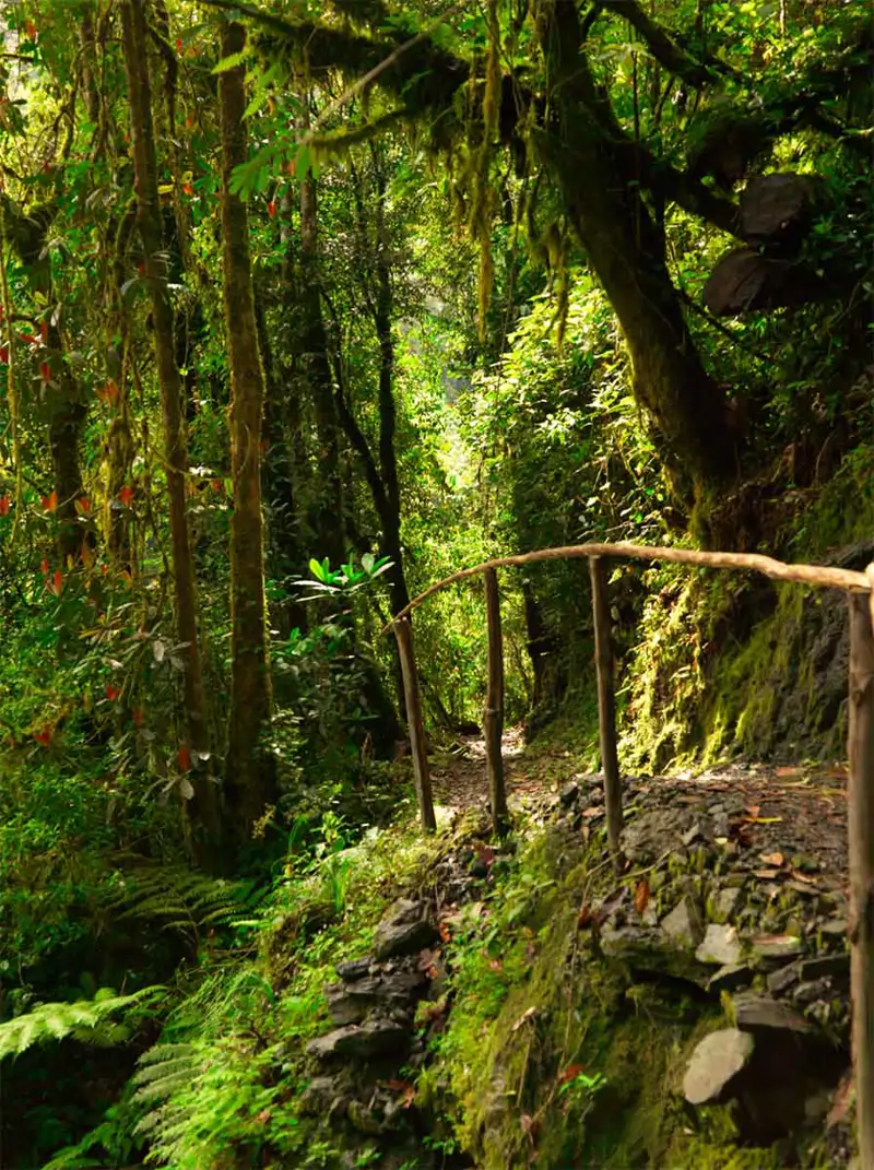 O Ruanda, província a província