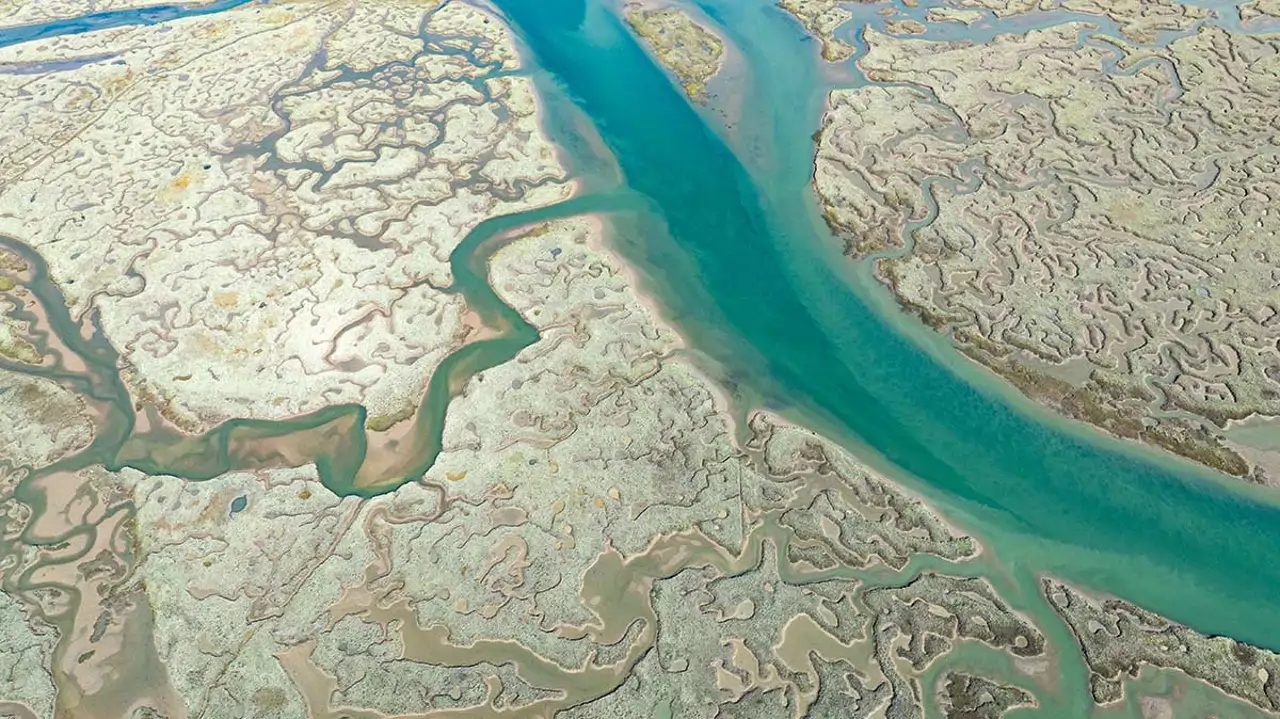Ria Formosa: O coração azul do Algarve