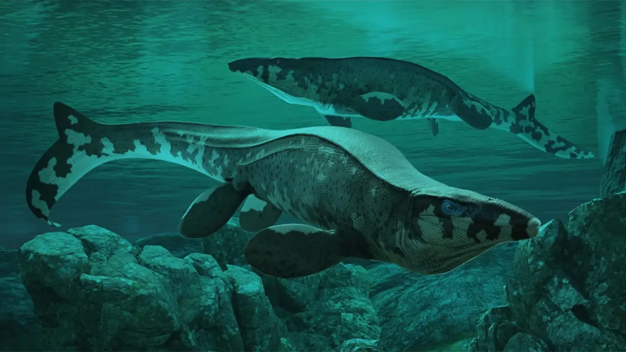 Um dia este gigante – a que chamaram T. Rex – governou os mares
