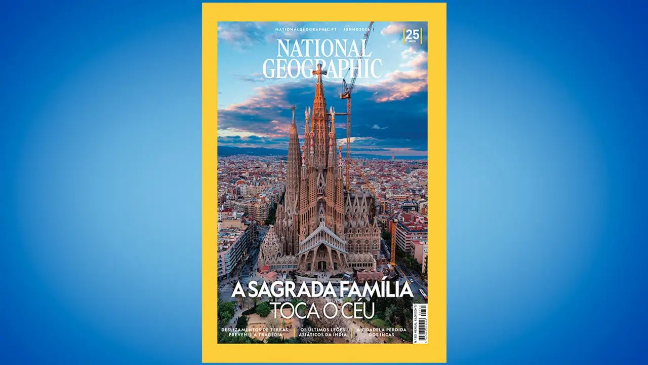 Edição Especial Coleccionador: Gaudí