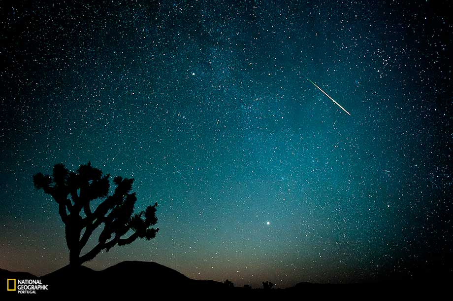 Asteróides e cometas, vestígios rochosos