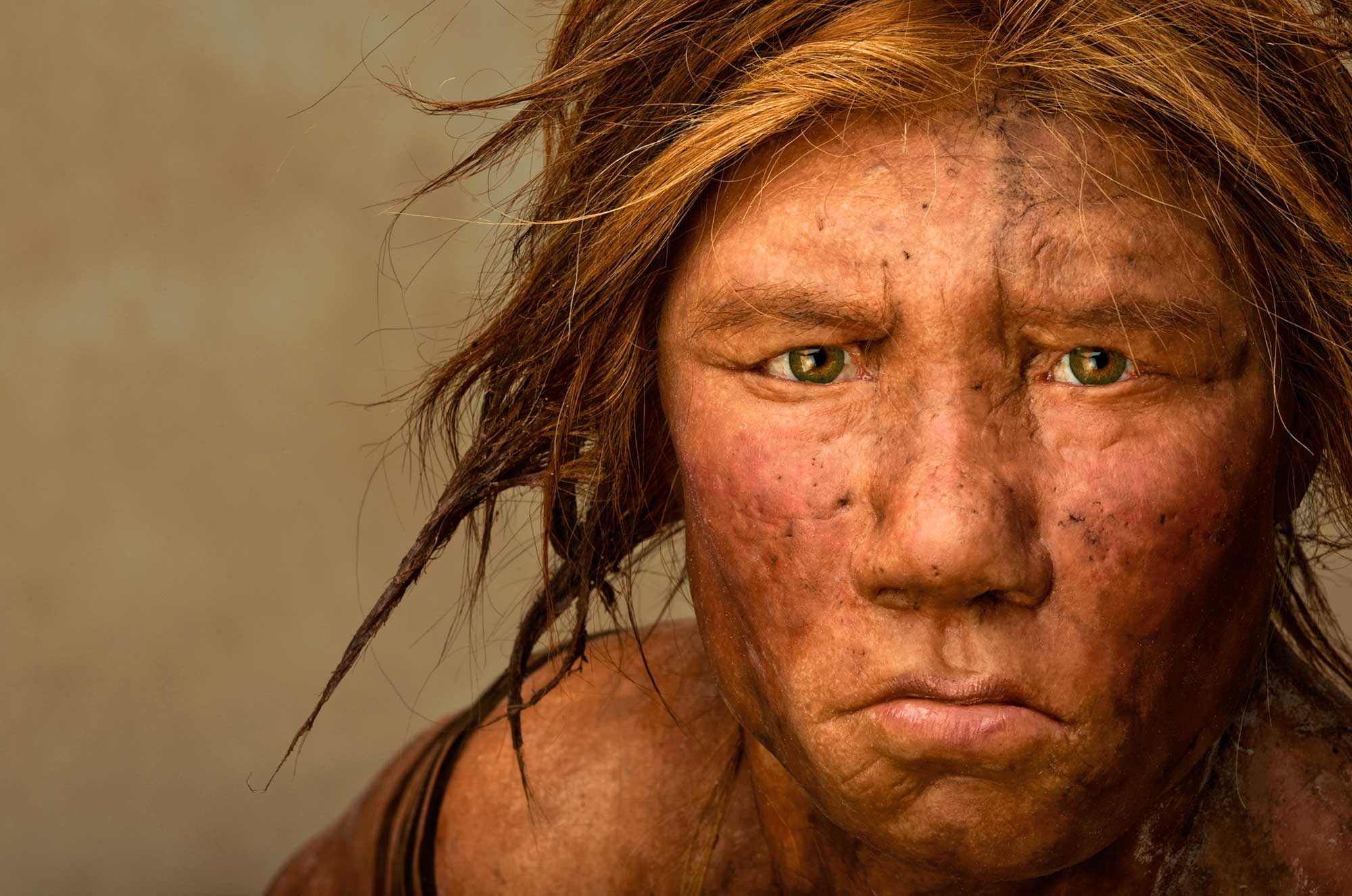 Neandertal, a outra espécie humana que viveu há 500 mil anos