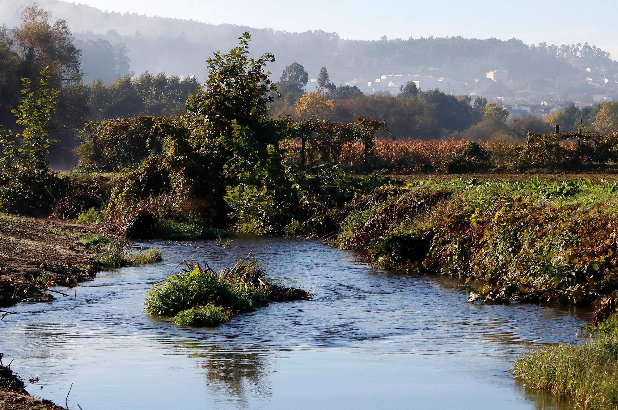 As tradições ancestrais do Sousa