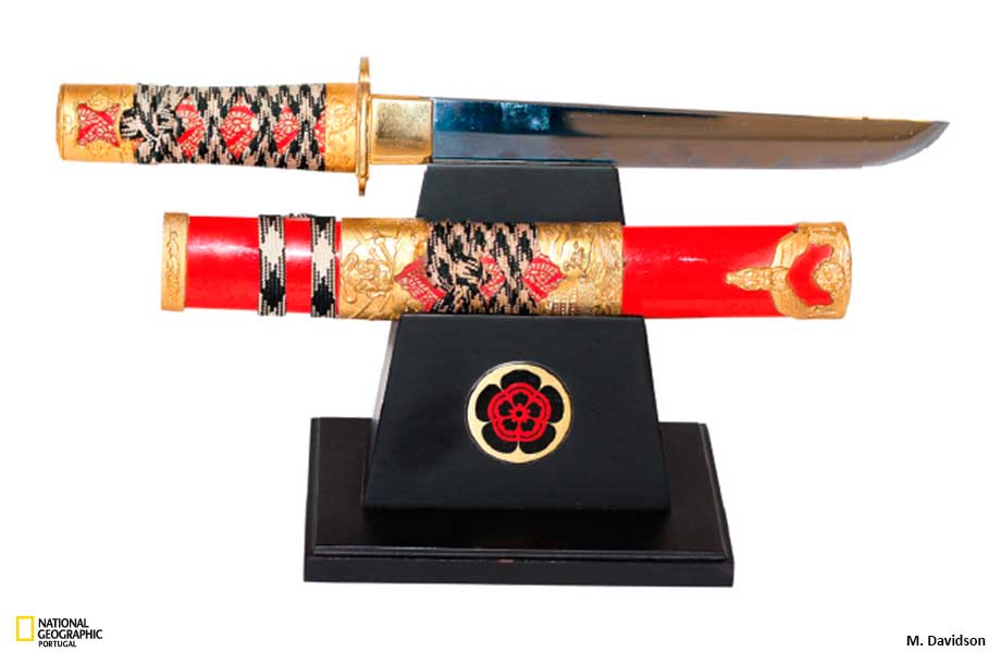 Cometer Seppuku