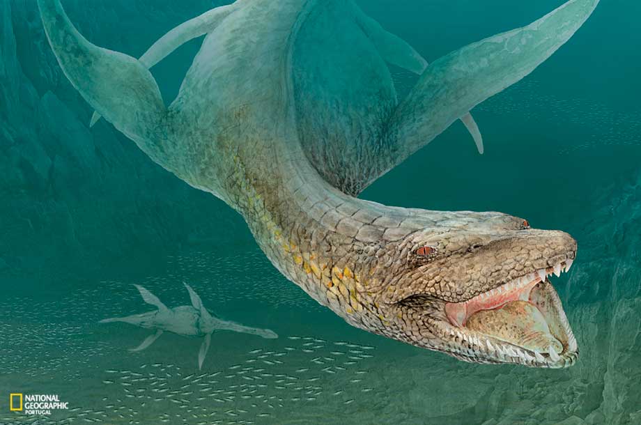 Plesiossauro português