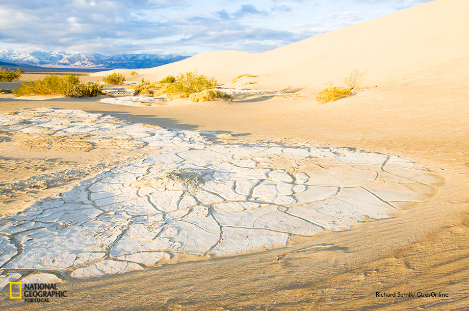 Navegando pelas dunas