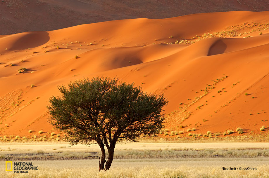 Navegando pelas dunas